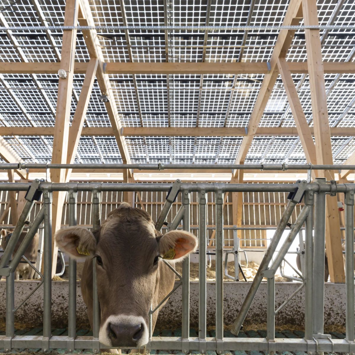 Galaxy Energy – BIPV, Photovoltaik und Speichersysteme